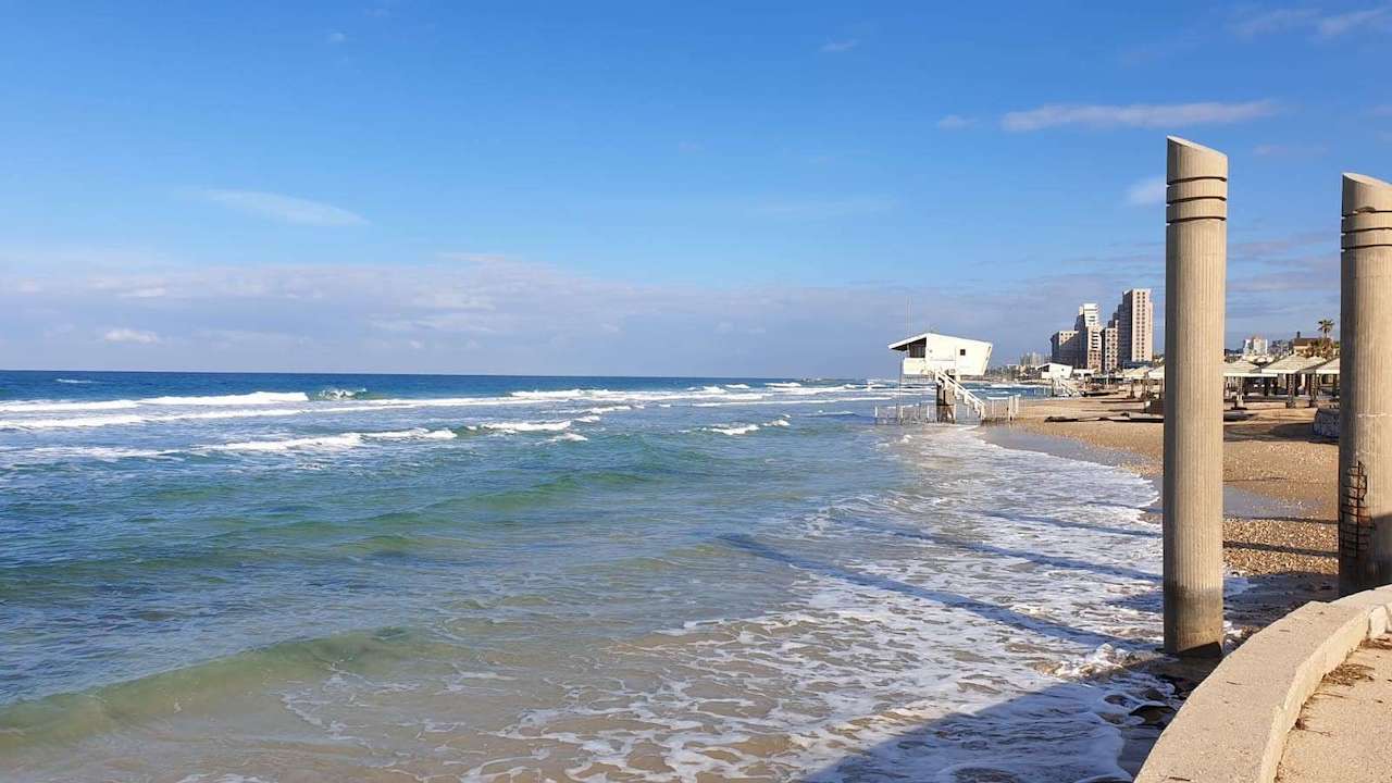 הצלנו את חוף הים בחיפה | החברה להגנת הטבע