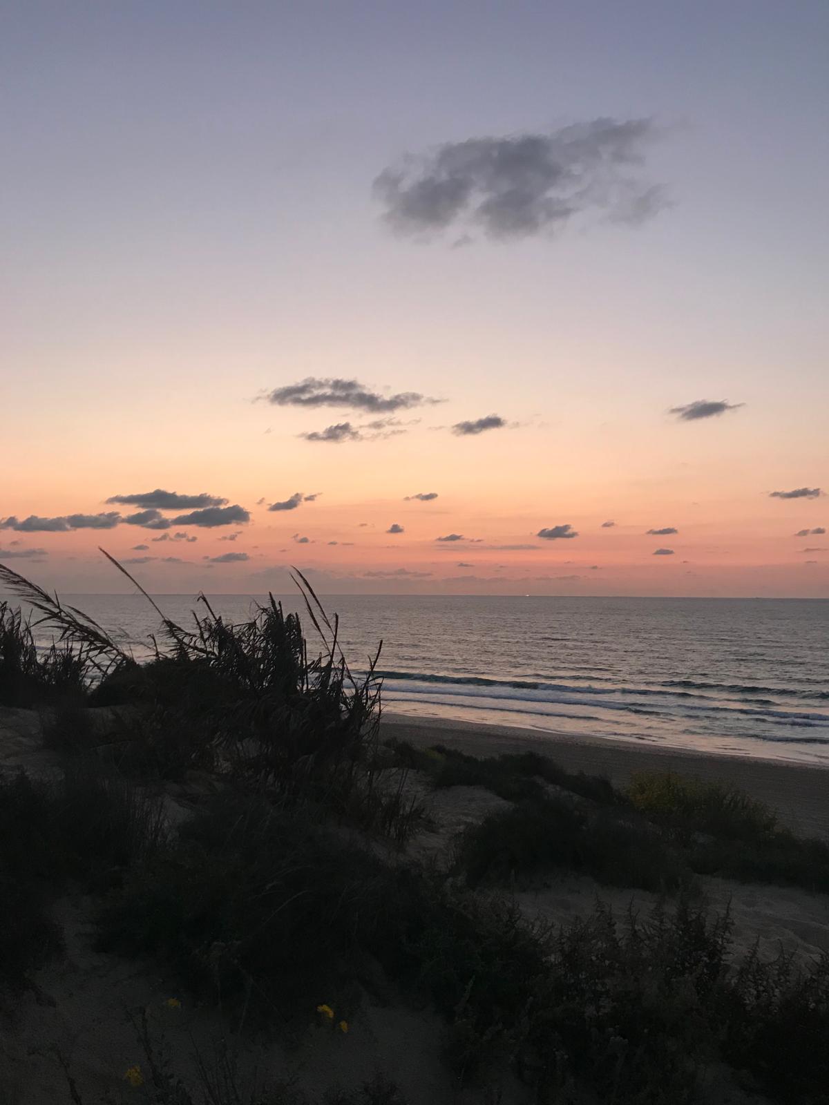 טיול עששיות בפארק האקולוגי באשדוד | החברה להגנת הטבע